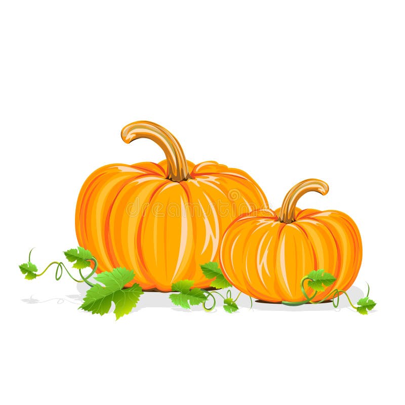 Crop Ripe Stock Illustrations – 52,520 Crop Ripe Stock Illustrations ...