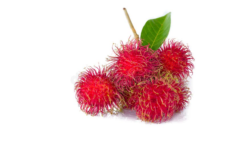 Ripe Rambutan/red Rambutan/asian Fruit Stock Image - Image of natural ...