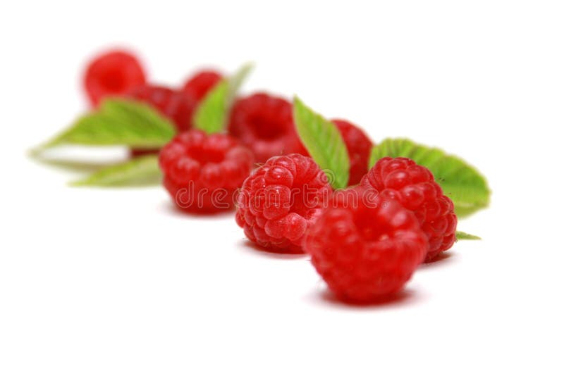 Ripe and red raspberries stock photo. Image of flora - 97983740