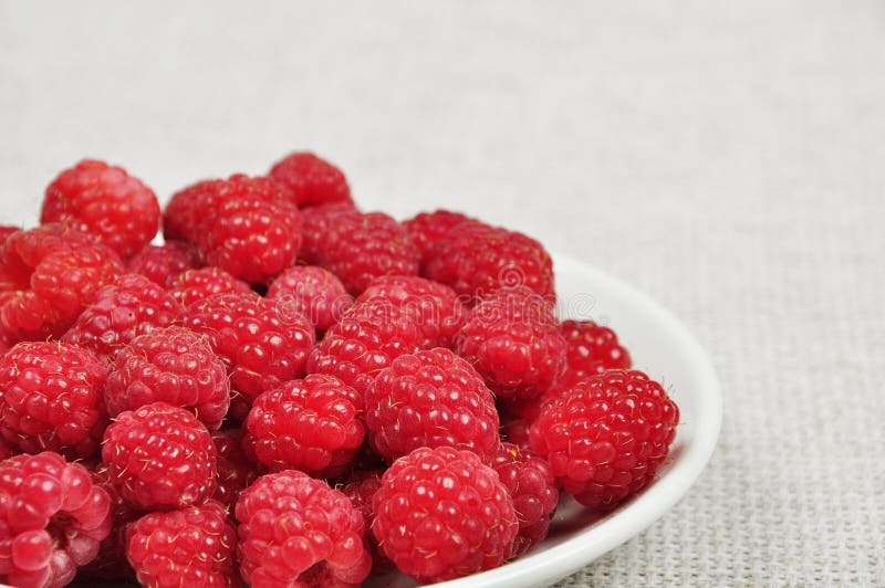 Ripe raspberries stock photo. Image of freshness, bowl - 25584812