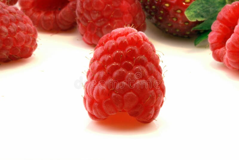 Ripe raspberries stock image. Image of delicious, freshness - 8271415