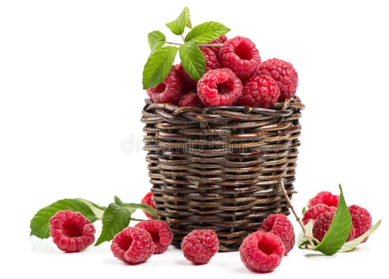 Ripe raspberries in basket stock photo. Image of white - 52119732
