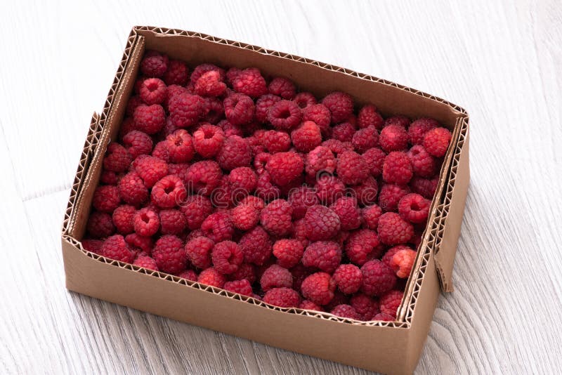 Raspberry in Cardboard Packaging, Box with Berries, Red Fruit in Pack ...