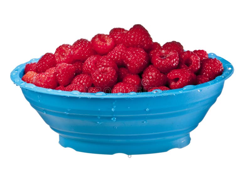 Ripe and red raspberries stock photo. Image of flora - 97983740