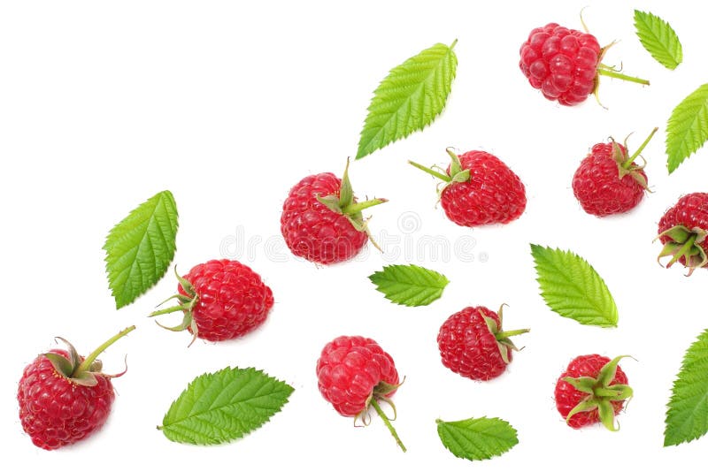 Ripe Raspberries with Green Leaf Isolated on White Background. Top View ...