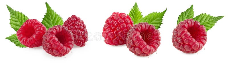 Ripe Raspberries with Green Leaves Isolated on White Background ...