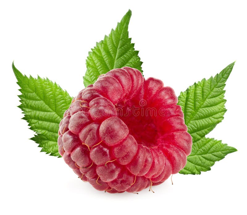 Ripe Raspberries with Green Leaves Isolated on White Background ...