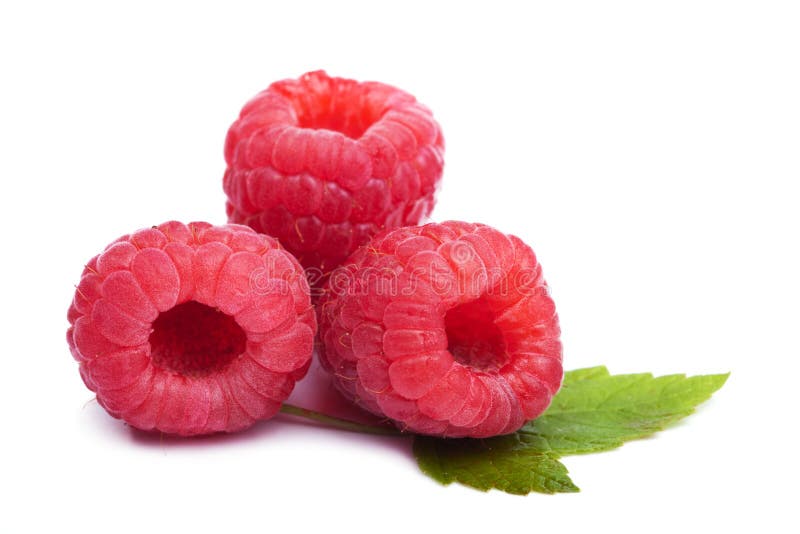 Ripe raspberries isolated stock photo. Image of health - 14754356