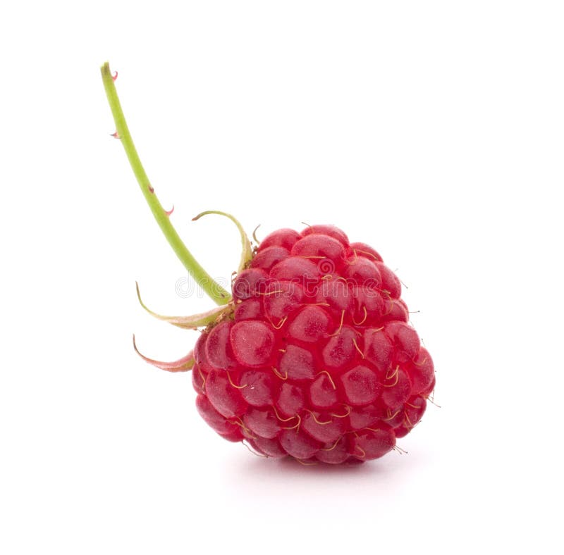 Ripe raspberries in basket stock image. Image of cutout - 33308797