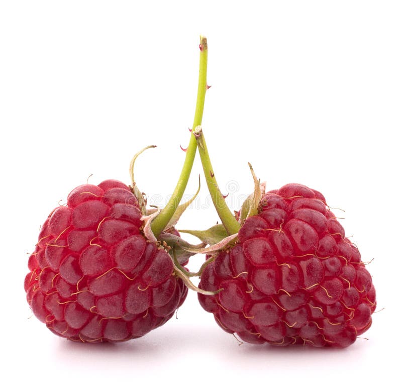 Ripe raspberries in basket stock image. Image of cutout - 33308797