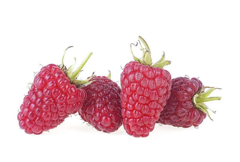 Ripe Raspberries Isolated on White Background. Four Raspberries ...