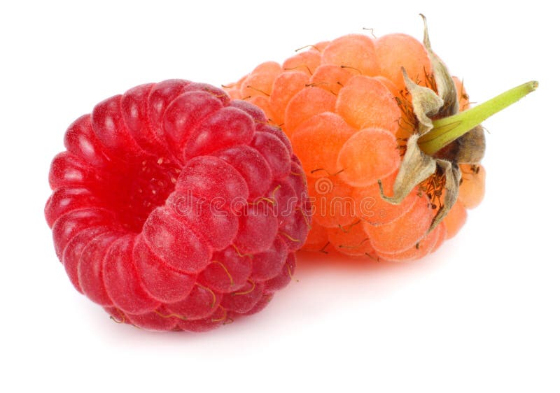 Ripe Raspberries Isolated on White Background Macro Stock Image - Image ...