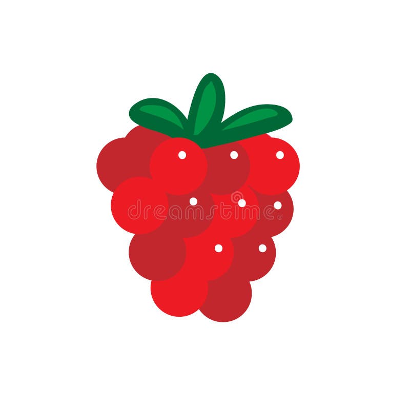 Ripe Raspberries, Vector Flat Illustration Stock Illustration ...