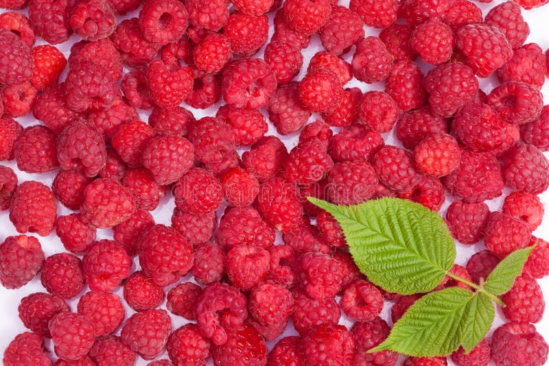 Ripe raspberries wallpaper stock image. Image of abstract - 26899441