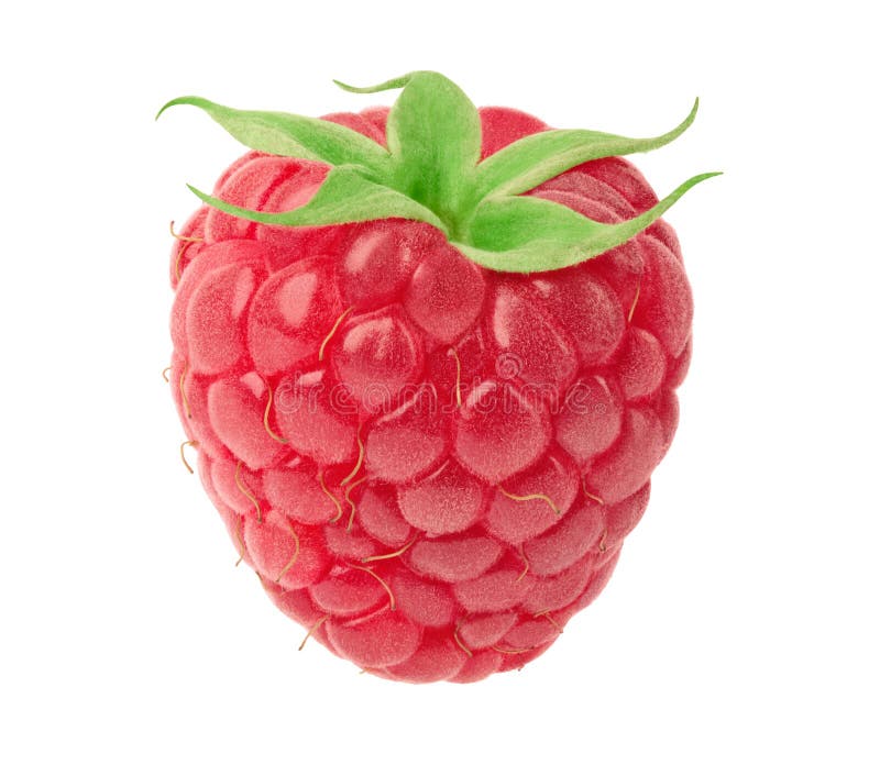 Ripe Peach Fruit with Green Leafs Isolated Stock Photo - Image of ...