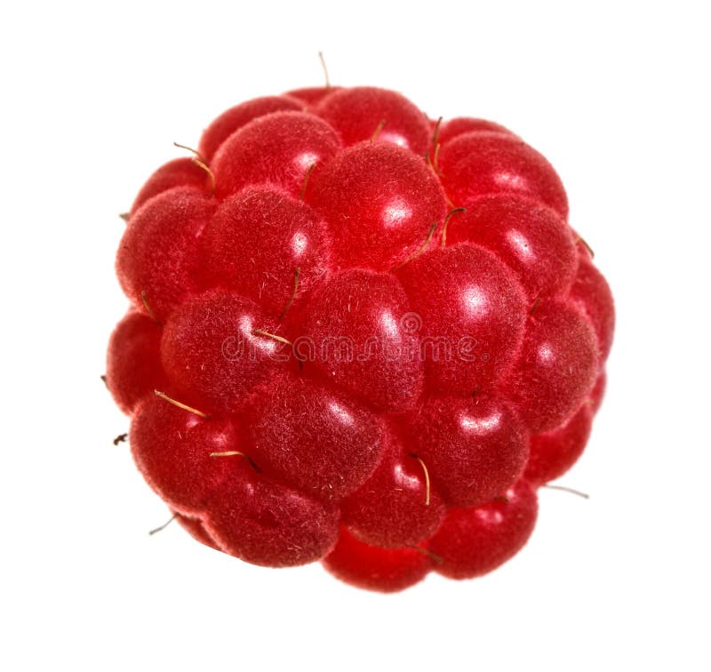 Ripe Red Raspberry on a Branch. Isolated on White. Set Stock Image ...