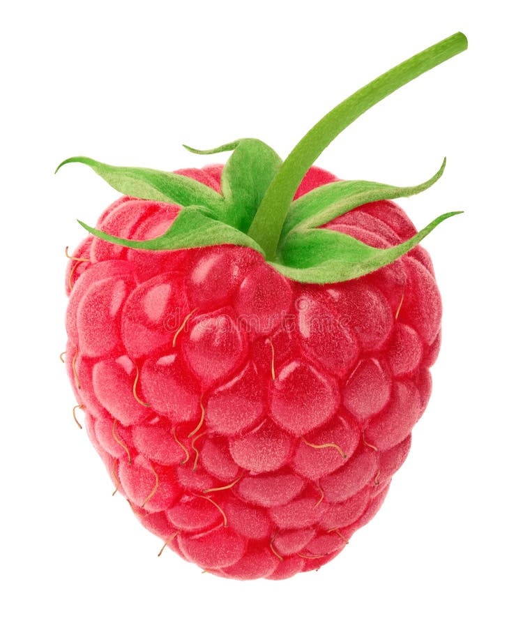 Ripe Raspberry Isolated on White Stock Photo - Image of isolated, white ...