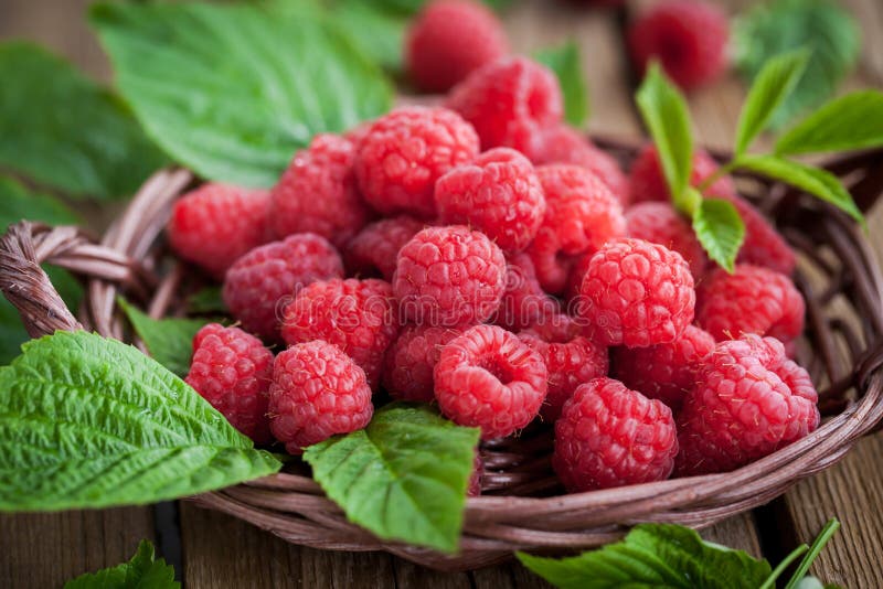 Raspberry stock image. Image of closeup, leaves, freshness - 52433013