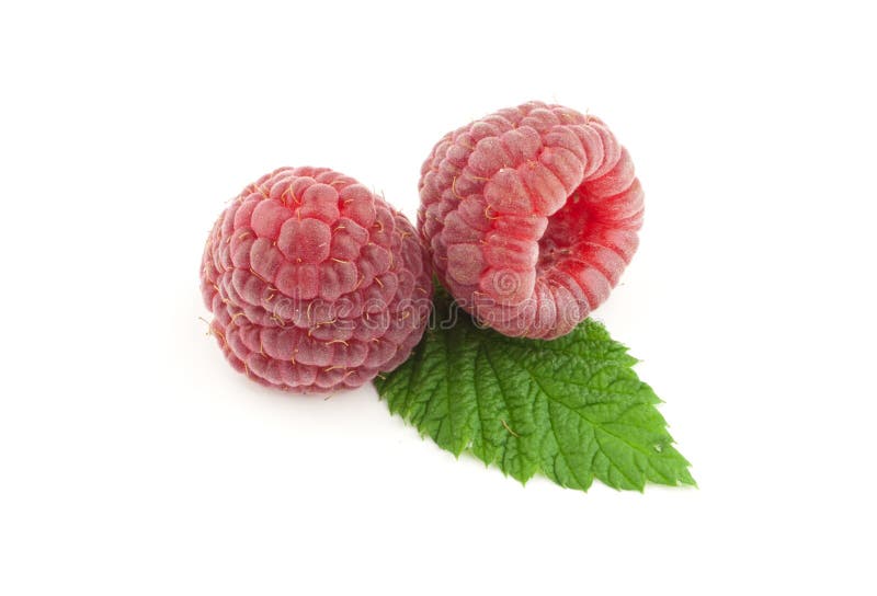 Ripe raspberry stock photo. Image of lifestyle, color - 59007840