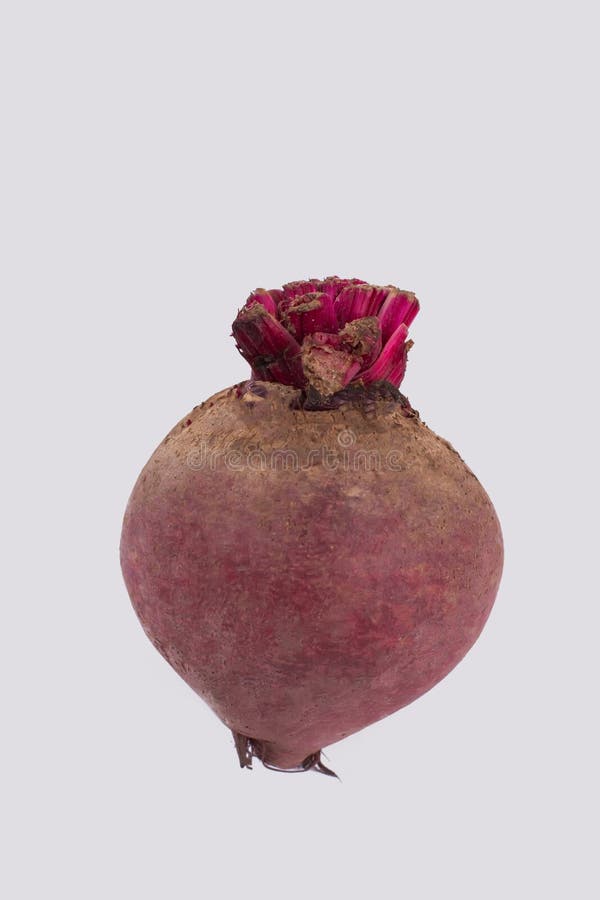 Ripe Raw Beetroot Isolated on White. Stock Photo - Image of ripe, food ...