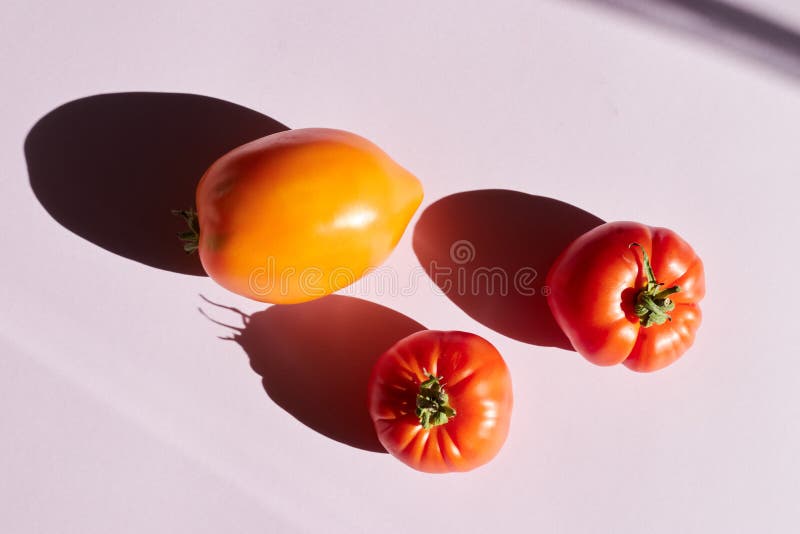 Tomato with a Hard Shadow in the Top View Pattern Stock Photo - Image ...