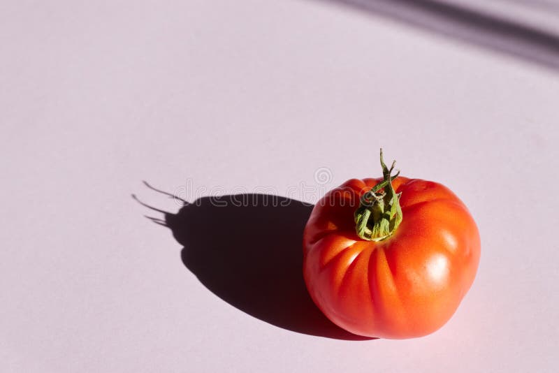 Ripe Raw Organic Tomato on the Background. Hard Light, Sharp Shadows ...