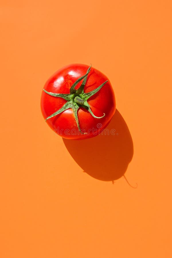 Ripe Raw Organic Tomato on Solid Mustard Orange Background. Hard Light ...