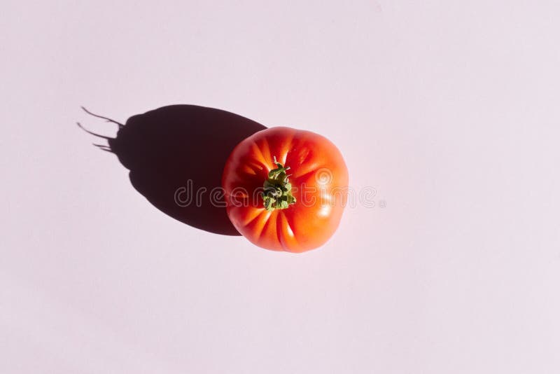 Ripe Raw Organic Tomato on the Background. Hard Light, Sharp Shadows ...