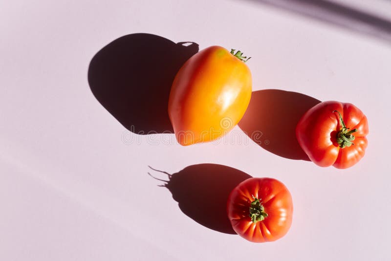 Ripe Raw Organic Tomato on the Background. Hard Light, Sharp Shadows ...