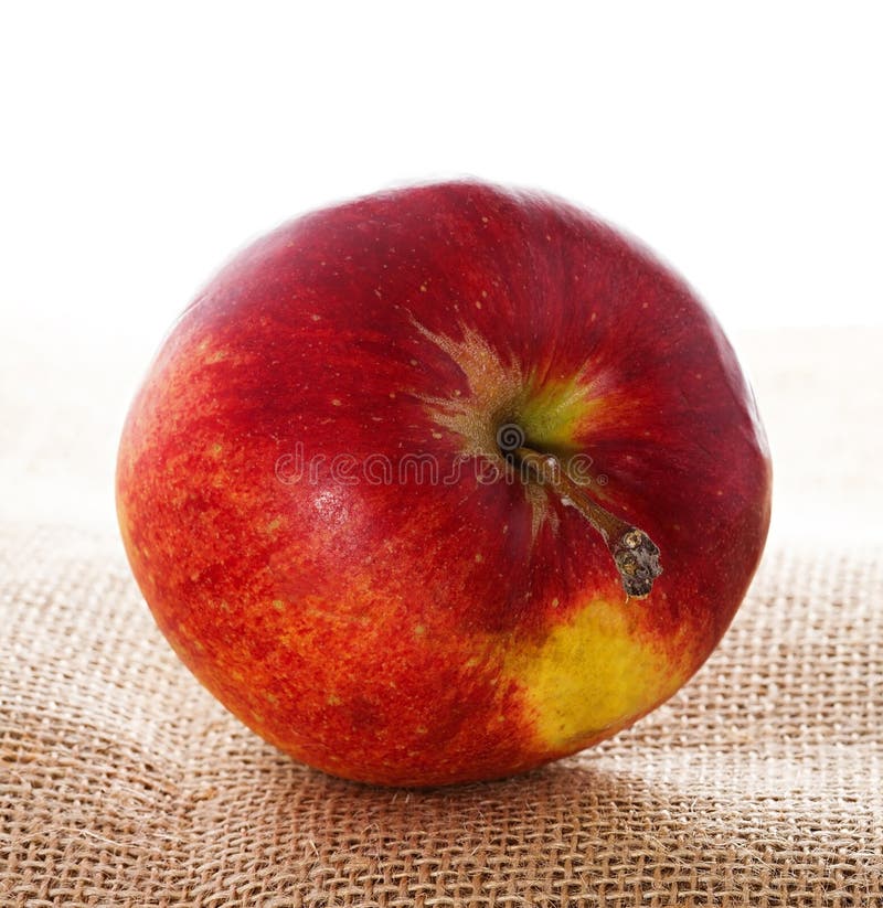 Ripe red apple stock image. Image of harvest, brown, meal - 37693433