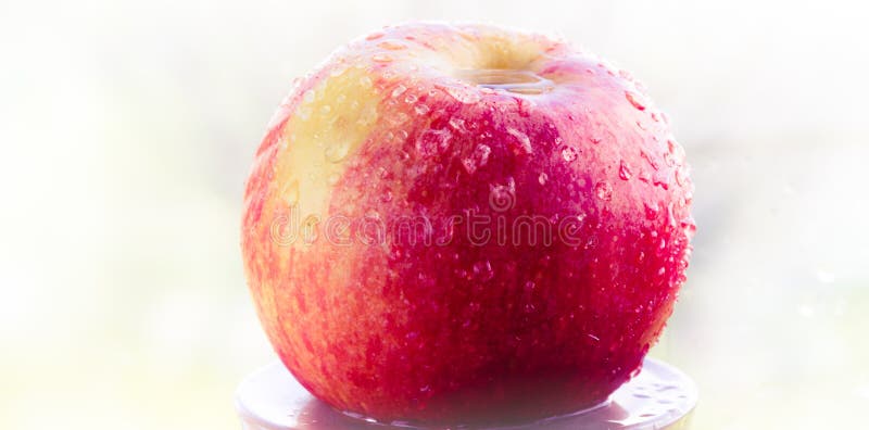 Ripe Red Apple Close-up in Natural Environment Stock Photo - Image of ...