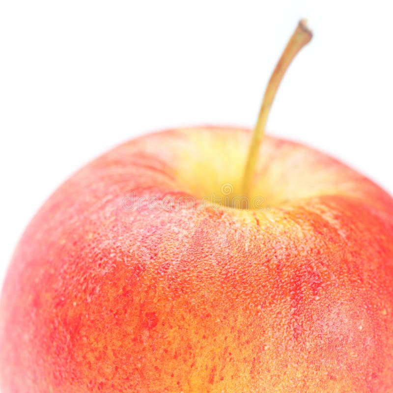 Ripe red apple stock photo. Image of garden, vegetarian - 36929878