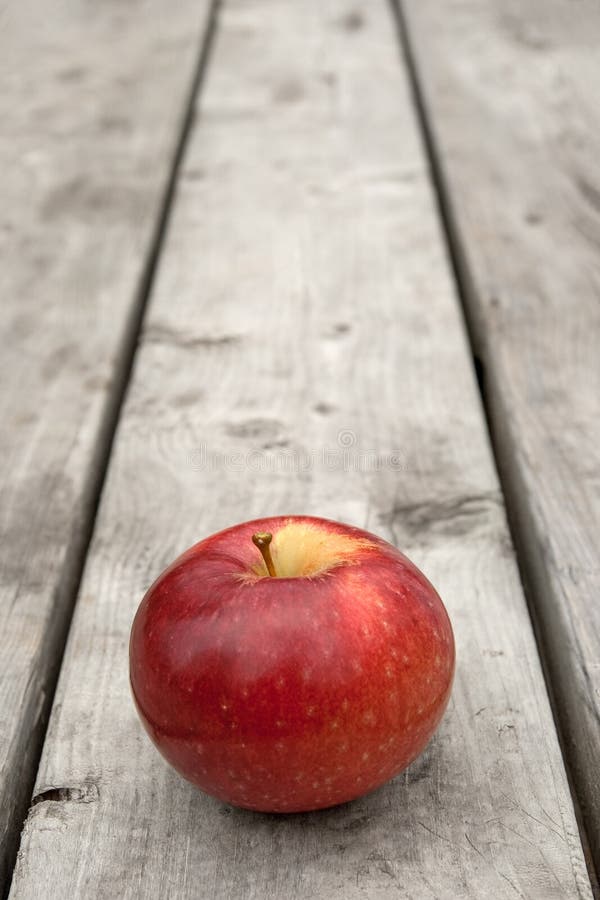 Red Juicy Solid Apple Fruit Lying Under Sunlight on Green Grass ...