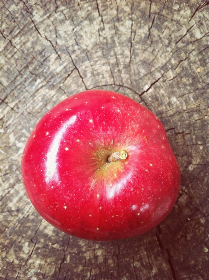 Ripe red apple stock image. Image of wood, sessons, surface - 46056245