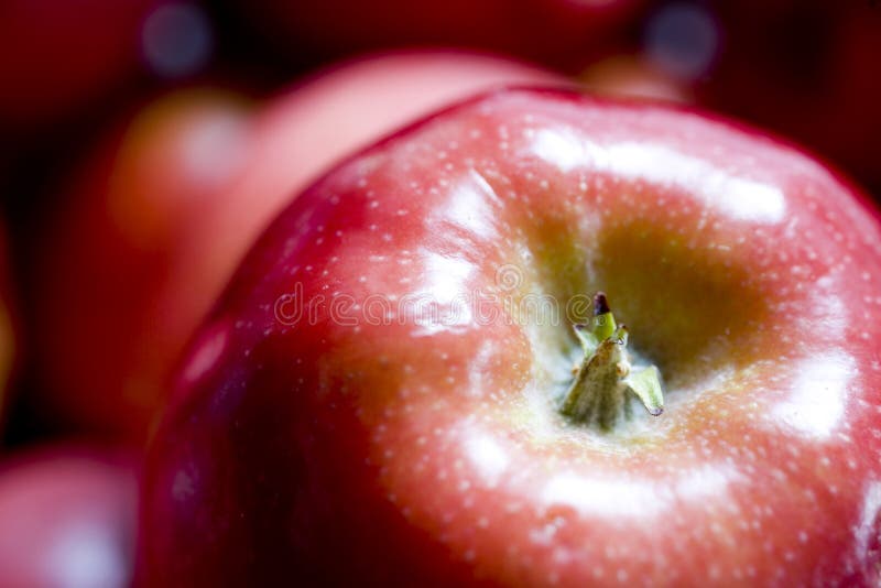 Ripe red apples stock image. Image of appetizing, coloured - 1508395