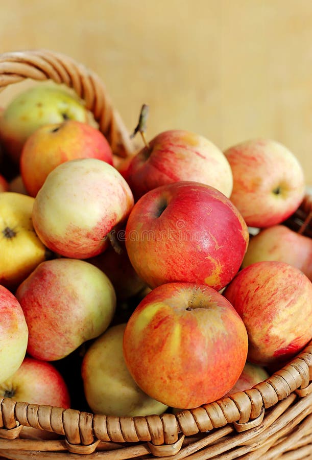 Ripe Red Apples in a Basket Stock Photo - Image of agriculture, basket ...
