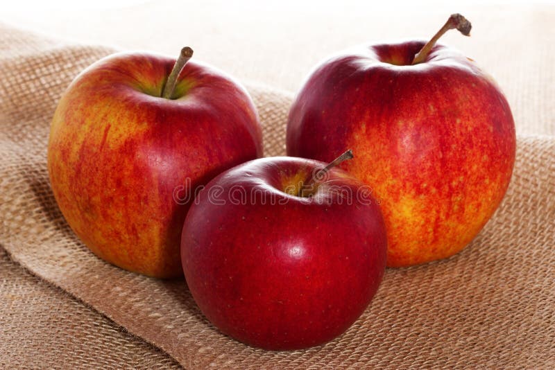 Ripe red apples stock photo. Image of meal, burlap, agriculture - 31354936