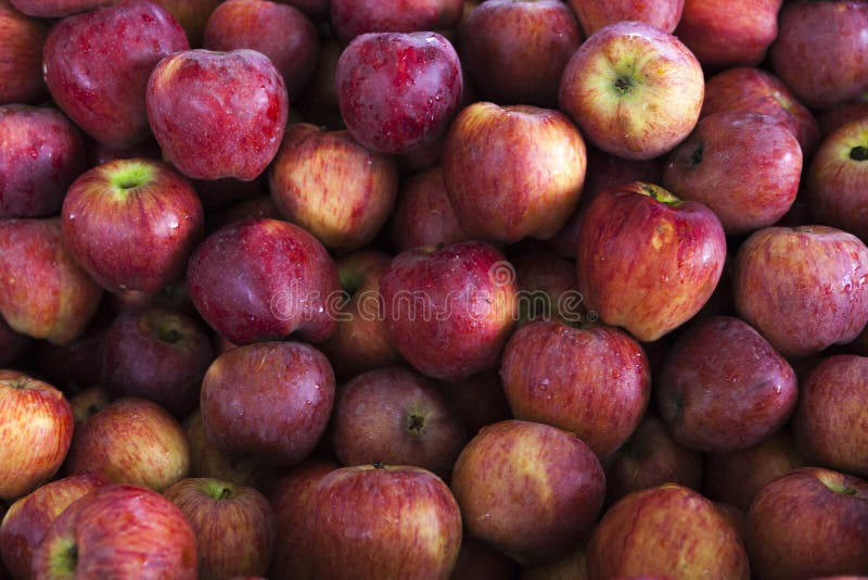 Ripe Red Apples Close-up on the Counter of the Store. Stock Image ...