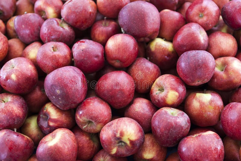 Ripe Red Apples Close-up on the Counter of the Store. Stock Photo ...