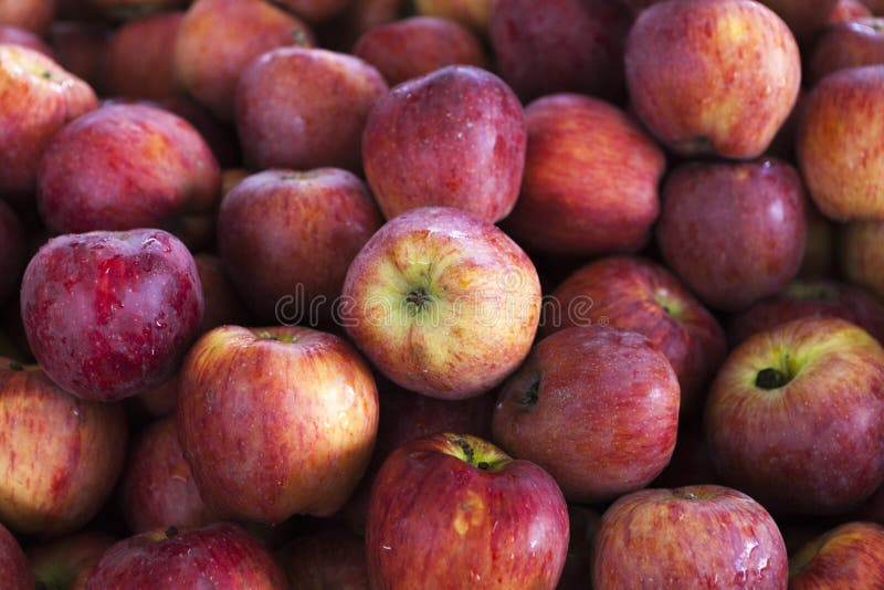 Ripe Red Apples Close-up on the Counter of the Store. Stock Image ...