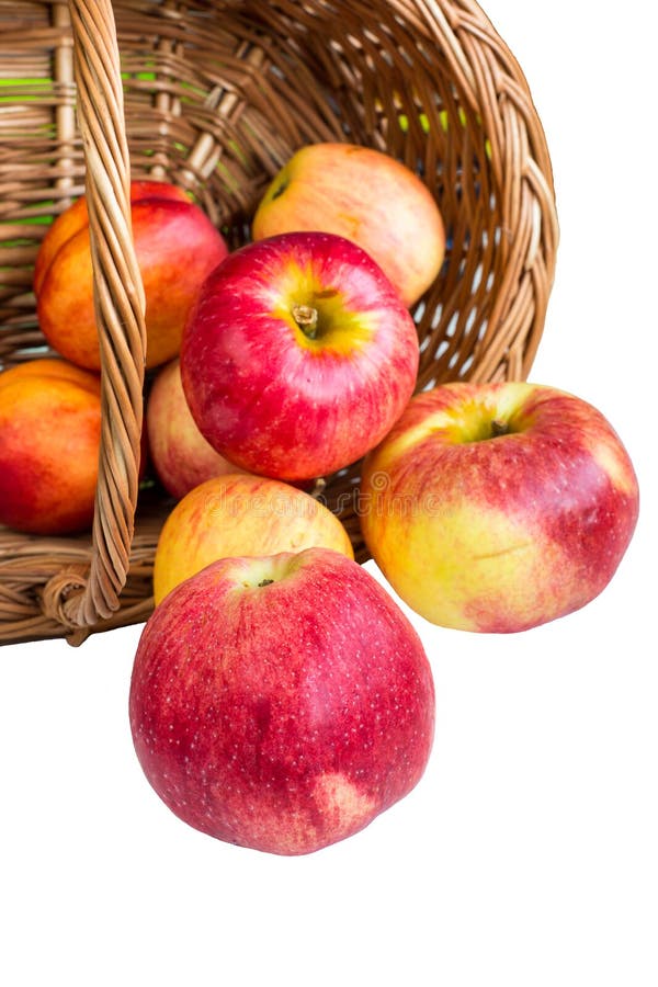 Ripe Red Apples Rolling Out of Basket on White Stock Photo - Image of ...