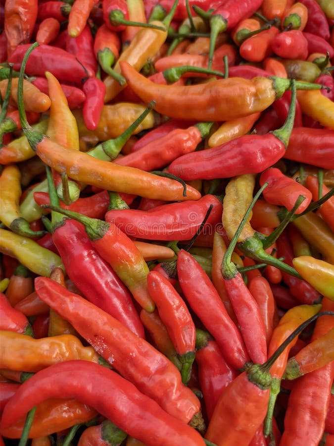 Ripe Red Cayenne Pepper Ready for Cooking Stock Image - Image of spicy ...