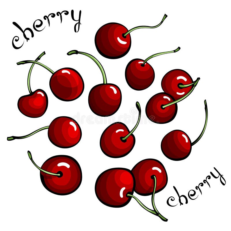 Ripe red cherries. stock vector. Illustration of berries - 96704522