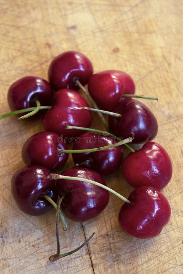 Intence Display Stock Photos - Free & Royalty-Free Stock Photos from ...