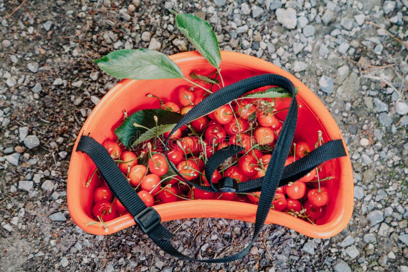 Ripe Red Cherry in Plastic Container Stock Photo - Image of appetizing ...