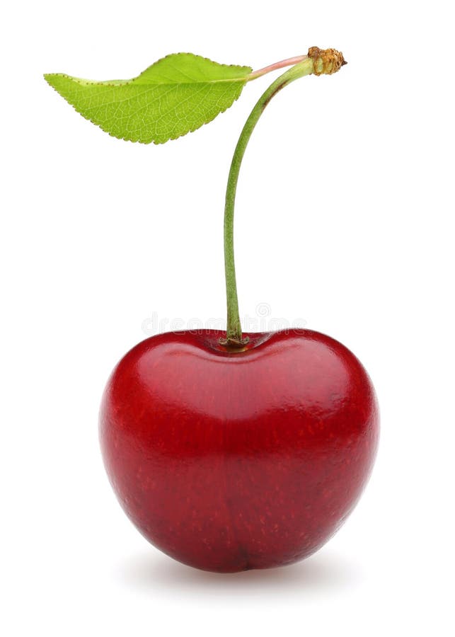 Ripe Red Cherry with Stalk and Leaf Isolated Stock Image - Image of ...