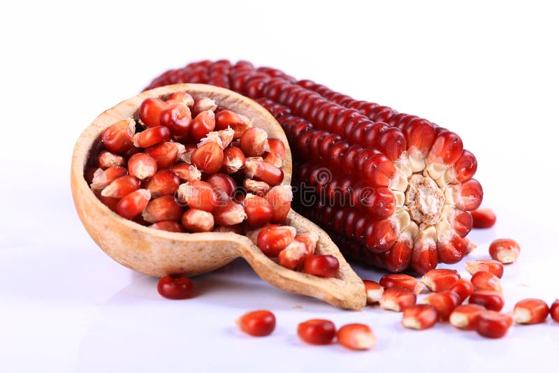 Ripe red corn stock image. Image of states, south, africa - 141443967