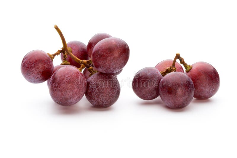 Ripe Red Grape Isolated on White. Stock Photo - Image of vitis, produce ...