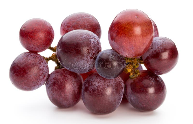 Ripe Red Grape Isolated on White. Stock Photo - Image of violet, sweet ...