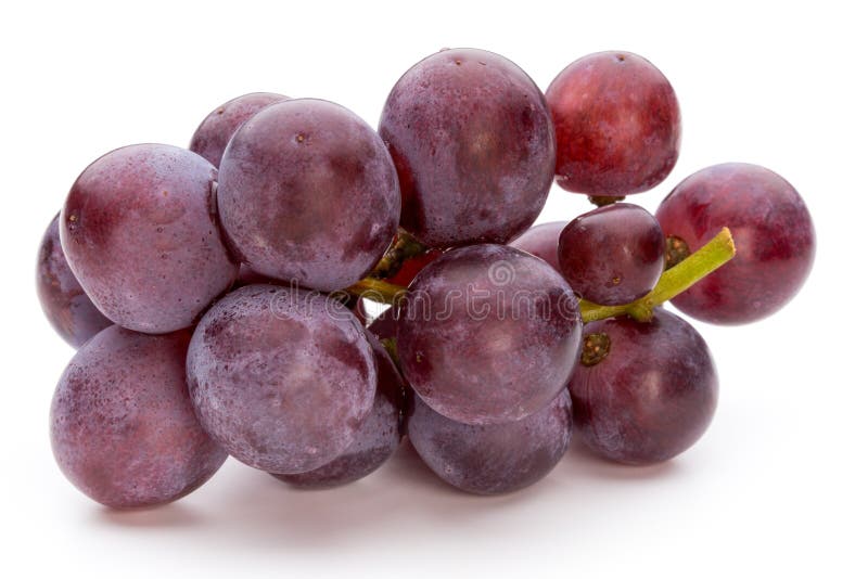 Ripe red grape on white. stock photo. Image of grape - 100506026